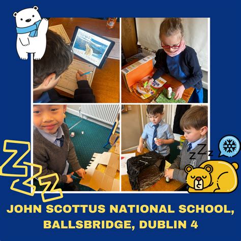 Hibernation In 1st Class John Scottus National School