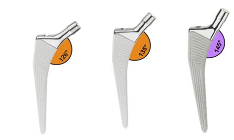 The History Of The Development And Conception Of The Polarstem Groupe