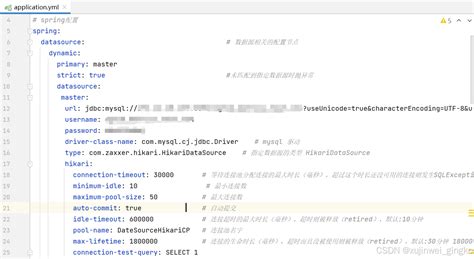 基于mp提供的dynamic Datasource实现多数据源 Csdn博客