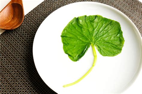 6월제철 나물 고추냉이 잎