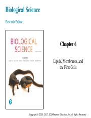 Understanding Lipid Structure Function In Biology Course Hero