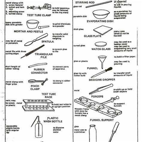 Lab Safety Worksheet Answer Key Amemyid