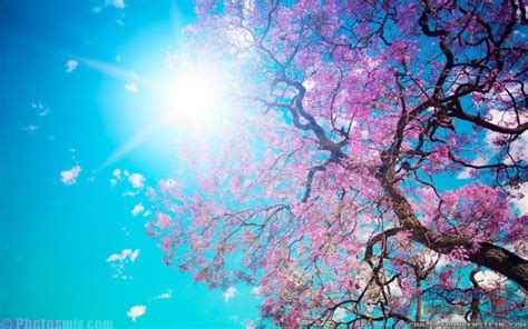 صور خلفيات للكمبيوتر احلى خلفيات للاب توب صبايا كيوت