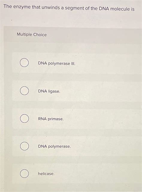 Solved The Enzyme That Unwinds A Segment Of The Dna Molecule