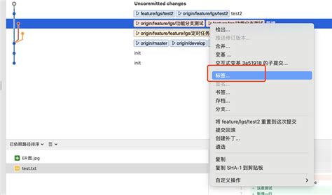 sourcetree使用看这一篇就够了 sourtree csdn博客