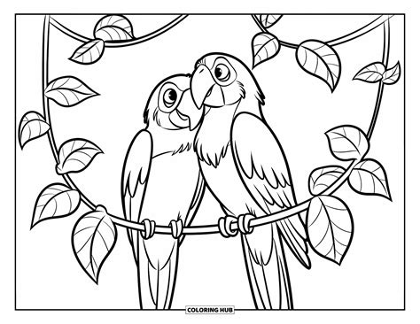 120 Coloriages De Perroquets Pour Enfants Et Adultes Gratuits