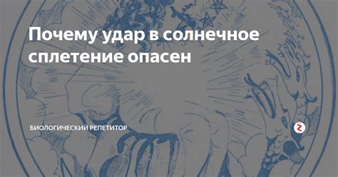 Почему удар в солнечное сплетение опасен Биологический репетитор Дзен