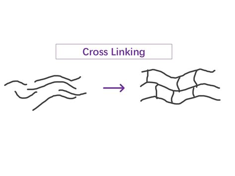 Whats Cross Linking Of Eva Film During Lamination Kengo Eva Film