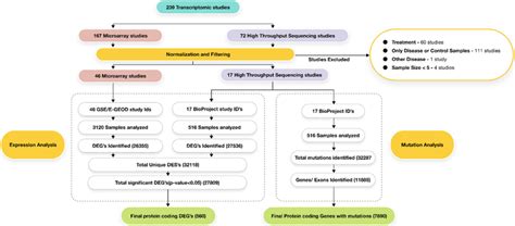 The Overall Workflow Of Genomics Analysis Download Scientific Diagram