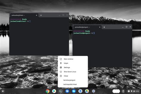 How To Run Multiple Linux Containers In Chrome Os For Extra Build