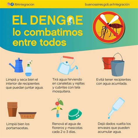 ¿quiénes Deben Vacunarse Contra El Dengue En Argentina Infobae