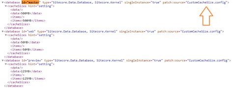 Sitecore Desktop Database Selection Shows Duplicate Or Non Existent
