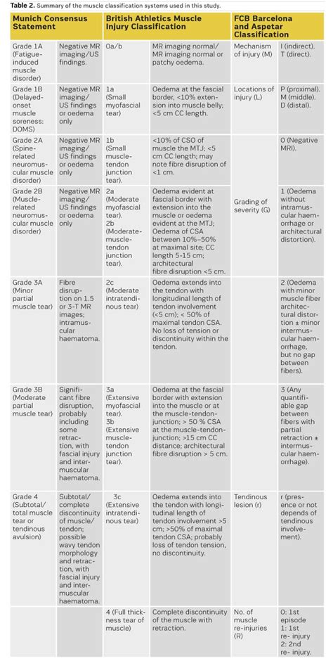Critical Analysis Of Mri Based Classification Systems For Sport Muscle Injuries
