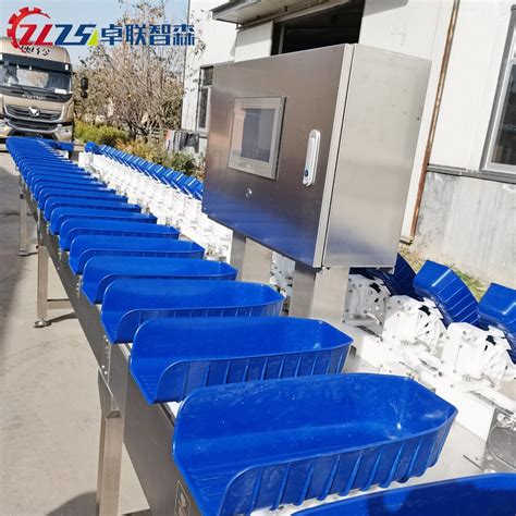 Dates Weight Sorting Machines According To Size Dates Washing And