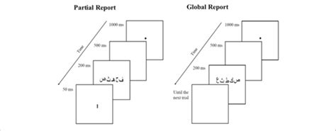 schematic illustration of the global and partial report tasks for the