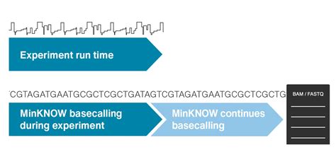 Nanopore Sequencing Accuracy Oxford Nanopore Technologies