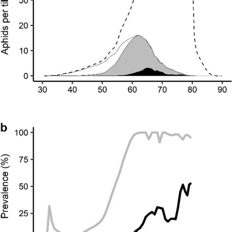 A Typical Example Of Model Population Dynamics A Aphid Density Without