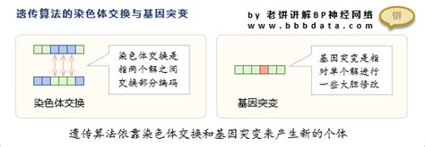 遗传算法ga 算法原理与算法流程图 遗传算法流程图 csdn博客