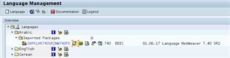 Supercharge Your SAP Basis Skills Installation Of Languages On SAP Systems