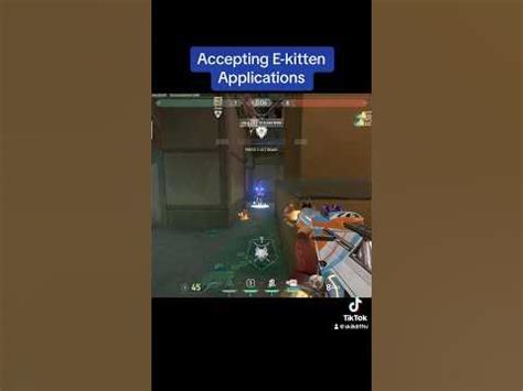 Accepting E Kitten Applications Valorant Youtube
