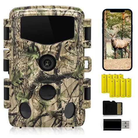How To Find Hidden Deer Cameras At Eva Gloucester Blog