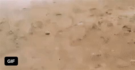 When The Team Refuses To Embrace Devops 9gag