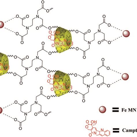 Schematic Illustration Of Cpt Drug Loaded β Cd Edta Fe3o4 Nanocarrier Download Scientific Diagram