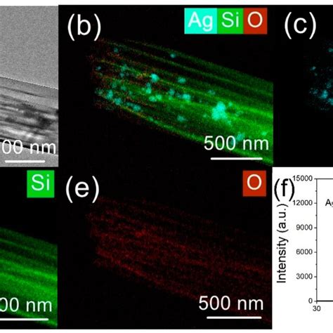 A Tem Image Of Silicon Nanowire Array Coated With Silver Download Scientific Diagram
