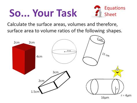 Exchange Surfaces Surface Area To Volume OCR AS A Level Biology Teaching Resources