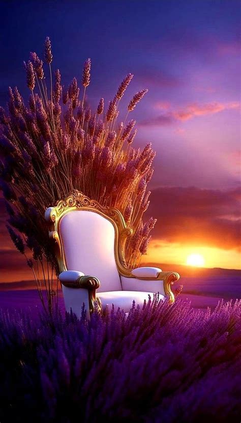 Halim Prence Beautiful Pictures