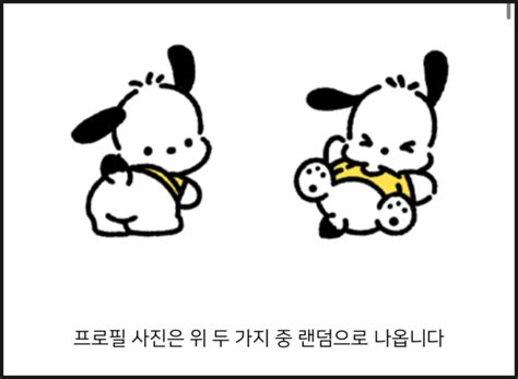 아이폰 카톡테마 너무 귀여운 포차코 카톡테마♥