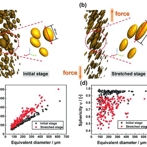Ab Pore Structure Of The Initial Stage And Stretched Stage C