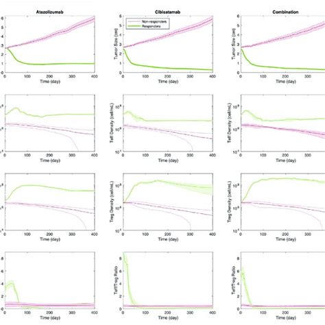 Time Profile Of A Tumor Size B Teff Cell Density C Treg Cell