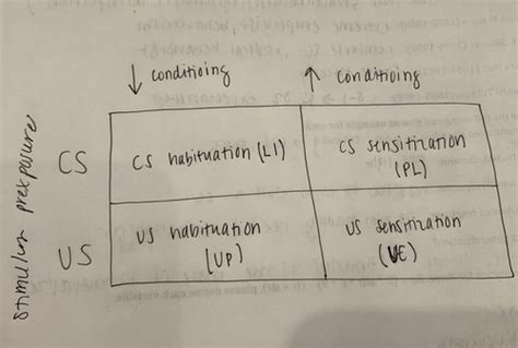 Learning Final Flashcards Quizlet