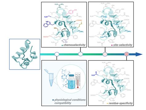 Roadblocks Redefined Reactivity And Selectivity Landscape Download Scientific Diagram