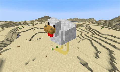 How To Build A Chicken In Minecraft At Tyler Aikenhead Blog