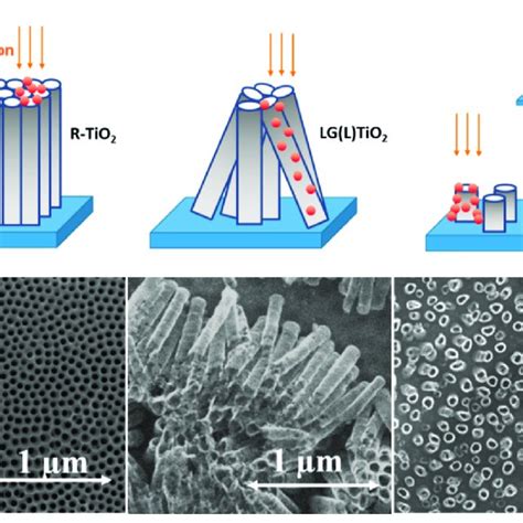 A Conventional Cell Unit Of Anatase Rutile And Brookite Tio 2
