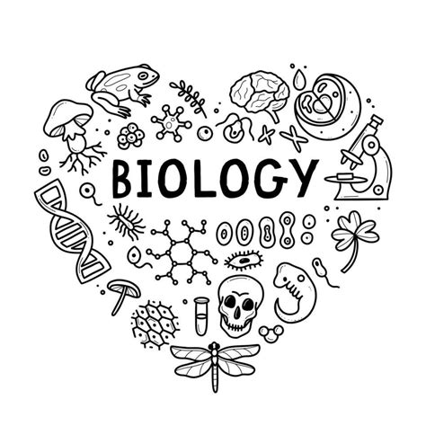 Biology Easy Drawings