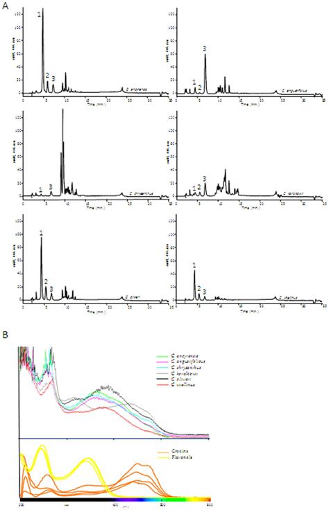 Hplc Profile At 446 Nm And Lc Pda Uv Isoplot Chromatogram Of Tepals Download Scientific Diagram