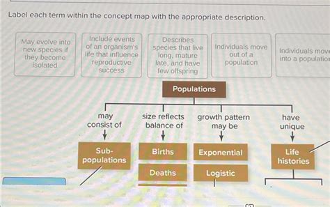 solved label each term within the concept map with the
