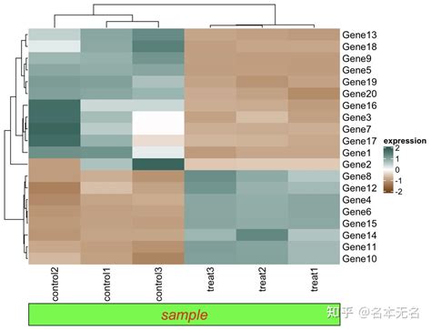 R 数据可视化 —— 聚类热图 Complexheatmap 一 知乎
