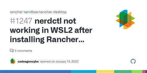 nerdctl not working in wsl2 after installing rancher desktop · issue