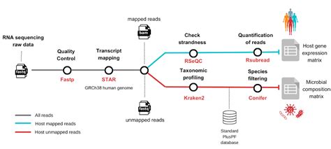 Empowering Bioinformatics Mentoring Across Continents With Nextflow Seqera