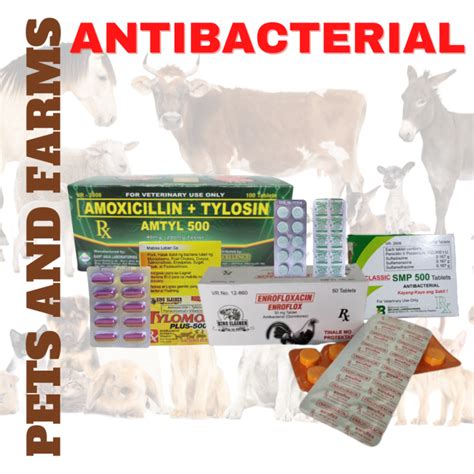 Antibacterial Tablet For Poultry King Slasher Vetmate Amty 500 Lazada Ph