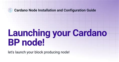 Launching Your Cardano Bp Node Cardano Node Installation And Configuration Guide