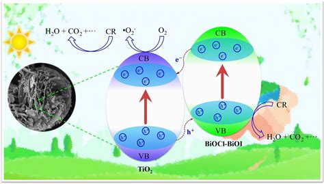Tio2biocl‐bioi Heterostructure Photocatalyst For Efficient Removal Of
