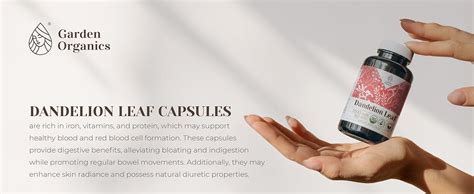 Dandelion Leaf Usda Organic 60 Capsules Digestive System
