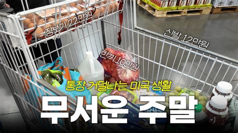 미국 브이로그 유학생에겐 가혹한 미국 물가 Youtube