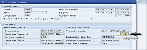 Sap Basis Hardware And Software Installation